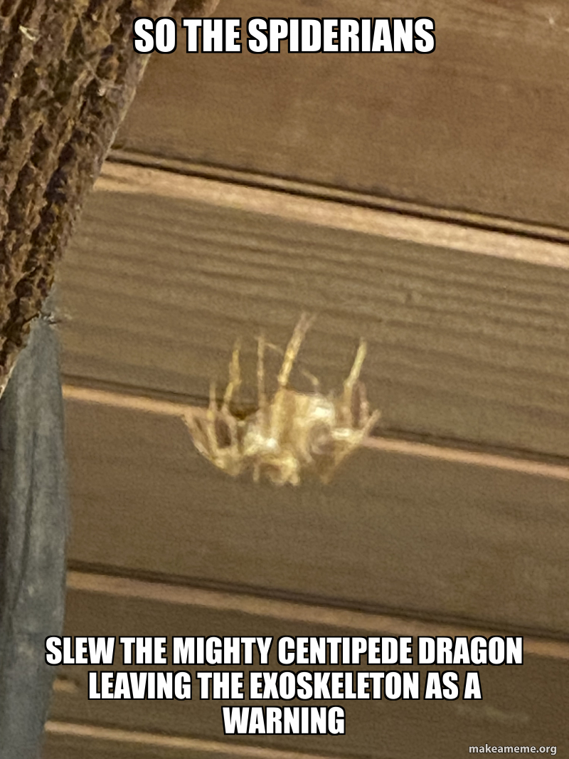 So the spiderians Slew the mighty centipedE draGon leaving the ...