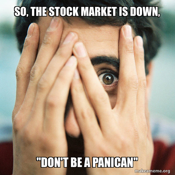 So, the stock market is down, "don't be a panican" Meme Generator