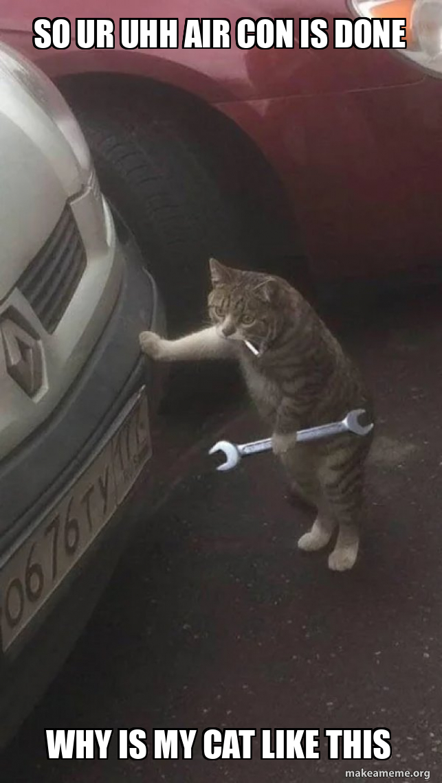 so ur uhh air con is done why is my cat like this - Mechanic Cat Meme ...