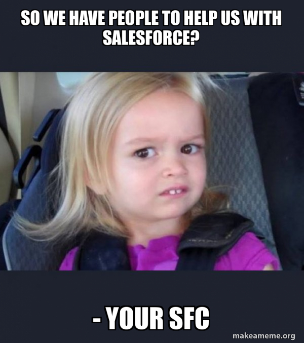So we have people to help us with Salesforce? - Your SFC - Side-Eyes ...