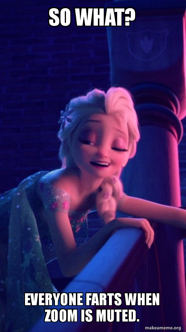 So what? Everyone farts when Zoom is muted. - Drunk Elsa Meme Generator