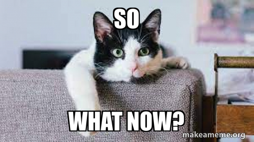 so what now? Meme Generator