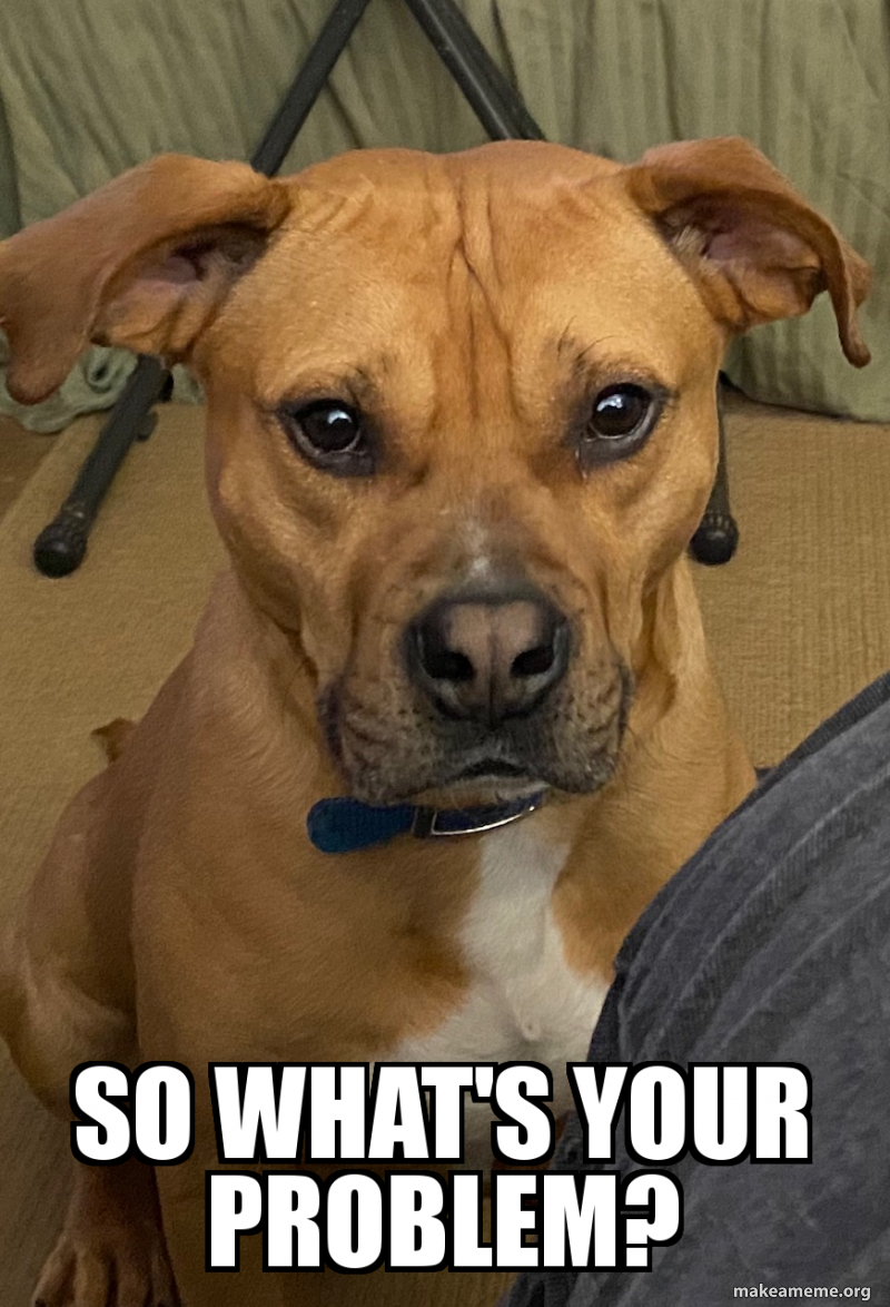 so what's your problem? Meme Generator