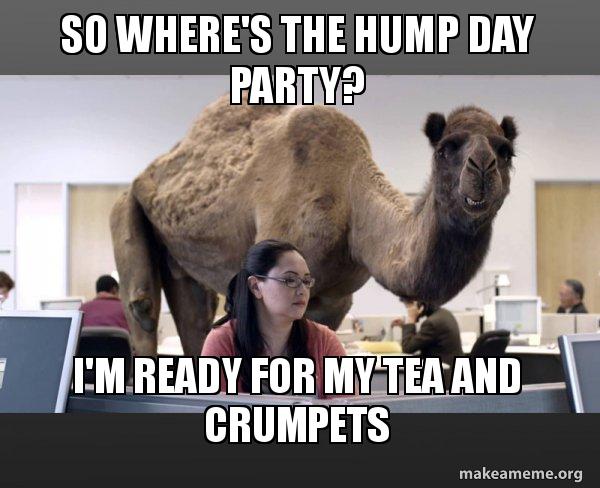 so where's the hump day party? I'm ready for my tea and crumpets - Hump Day Camel Meme Generator