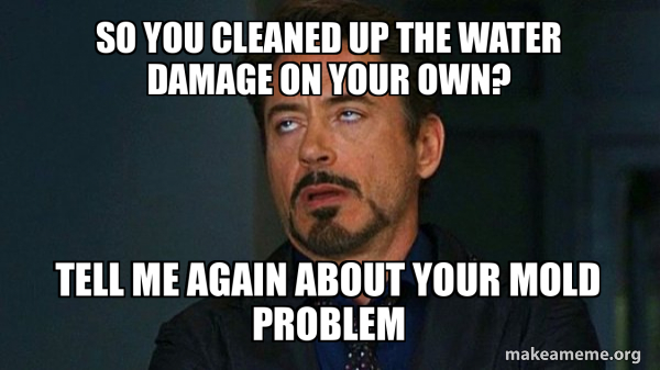 So you cleaned up the water damage on your own? Tell me again about ...