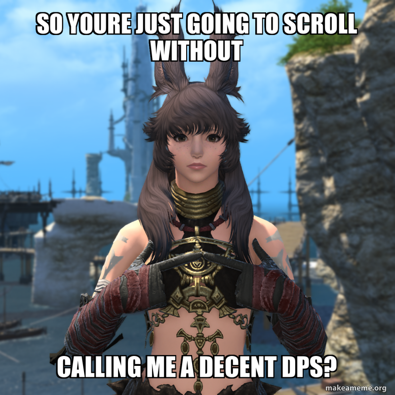 so youre just going to scroll without calling me a decent dps? Meme ...