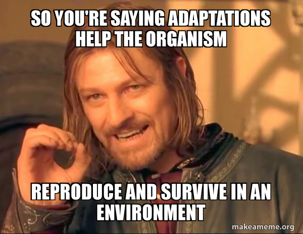 so you're saying adaptations help the organism reproduce and survive in ...
