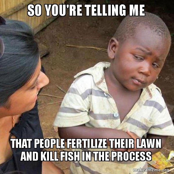 So you're telling me That people fertilize their lawn and kill fish in ...