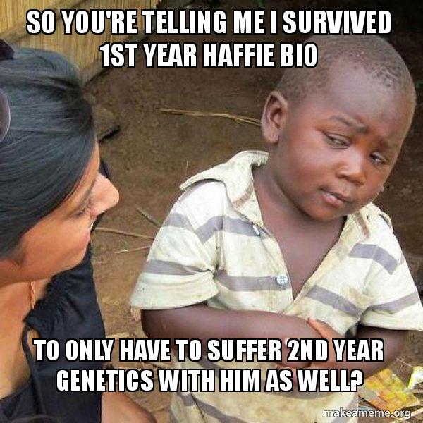 Haffie Memes