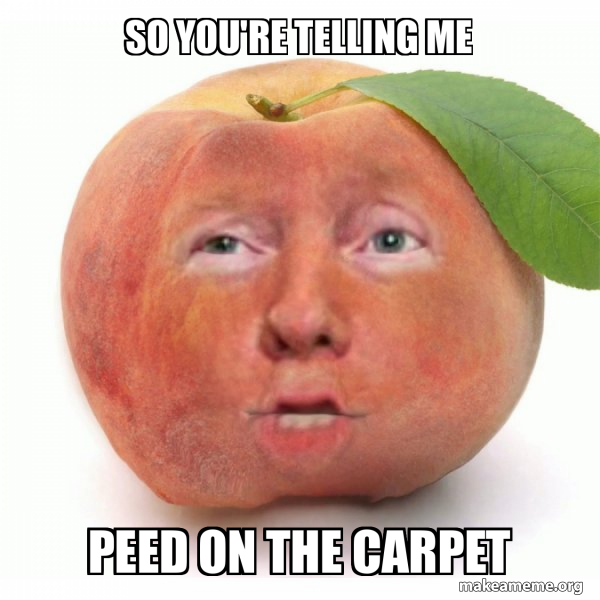So you're telling me peed on the carpet - Impeached Donald Trump Meme ...