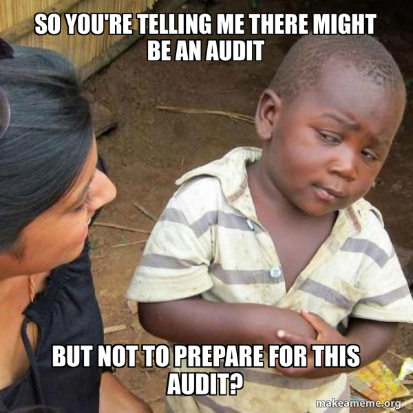 So you're telling me there might be an audit But not to prepare for this audit? - Skeptical ...