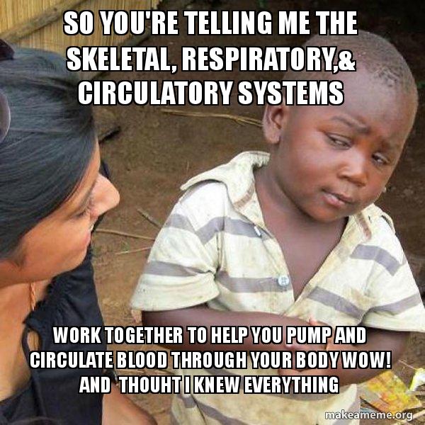 Respiratory System Memes Human Respiratory System Lungs Anatomy Stock