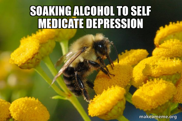 Soaking alcohol to self medicate depression - Good Guy Bee Meme Generator