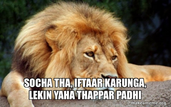 socha tha, iftaar karunga, lekin yaha thappar padhi - Confession Lion ...