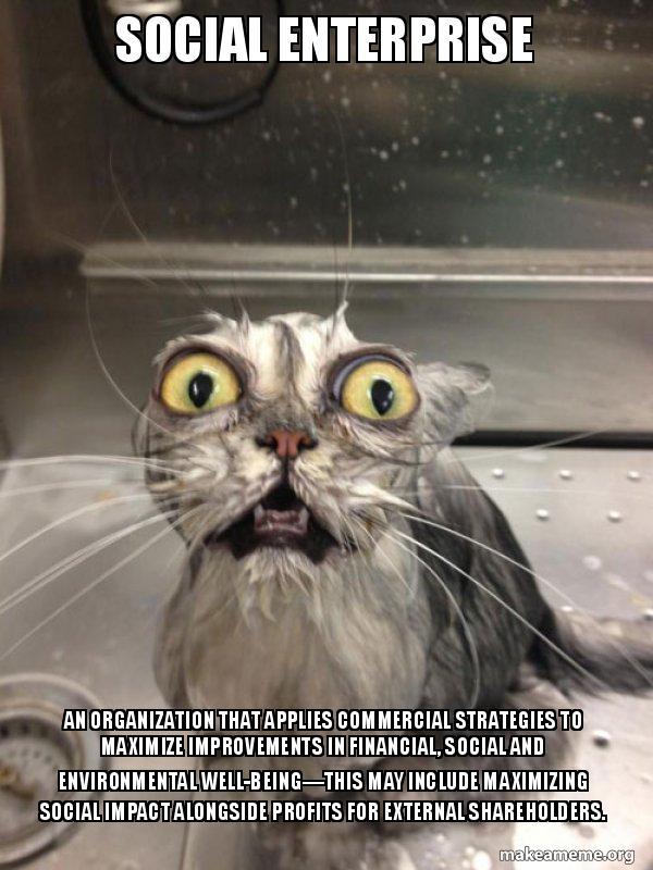 Social Impact Memes Making Memes Work For You: The Benefits Of Meme