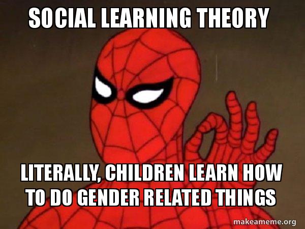 Social Learning Memes