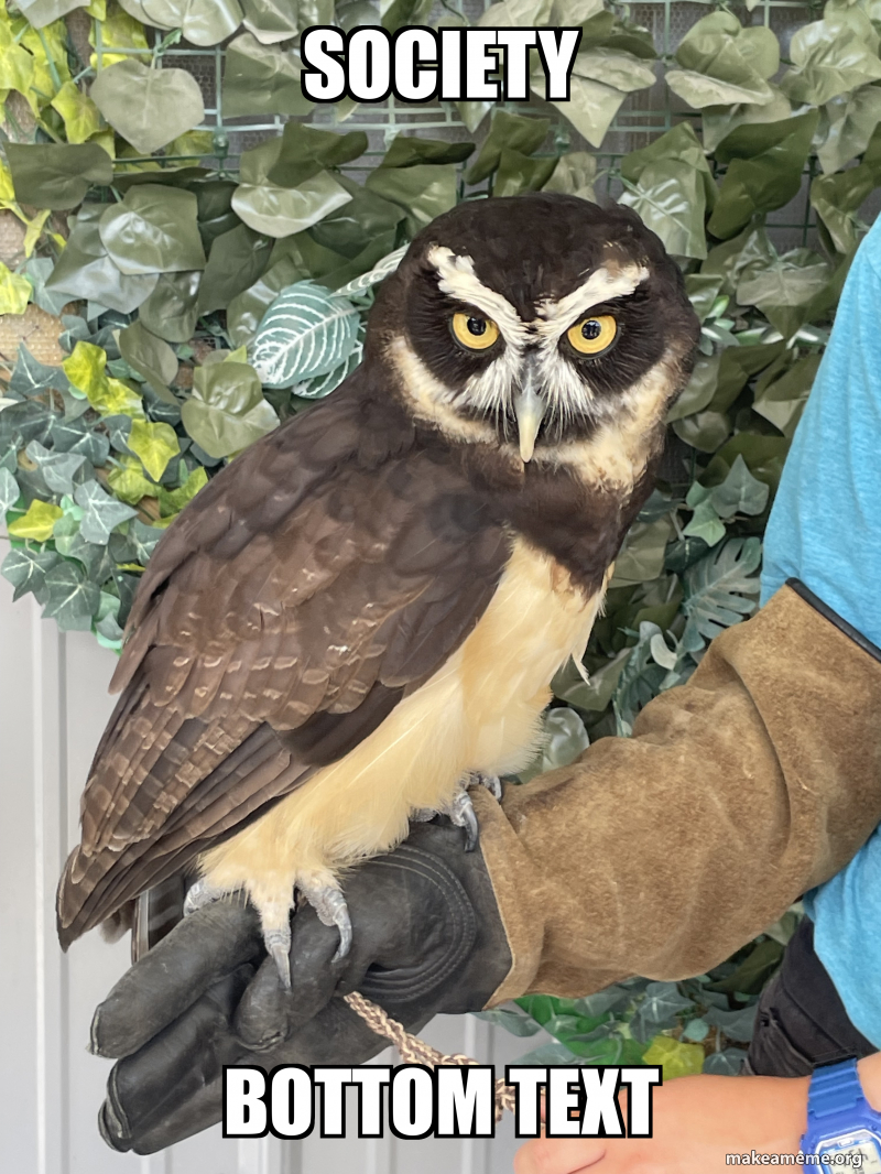 Society Bottom text Meme Generator