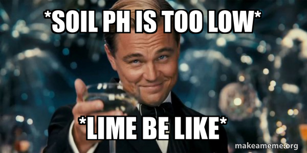 *Soil pH is too low* *Lime be like* - Great Gatsby Reaction - Leonardo ...