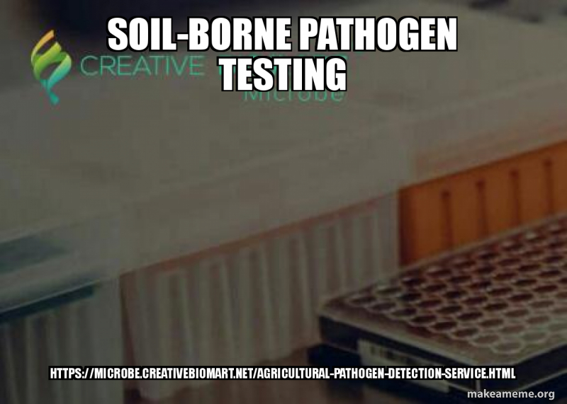 Soil-Borne Pathogen Testing https://microbe.creativebiomart.net ...