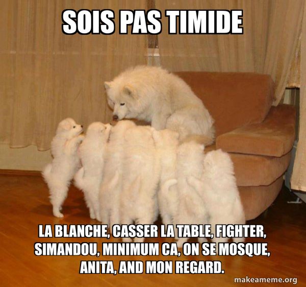 Sois pas Timide La Blanche, Casser la table, Fighter, Simandou, Minimum ...