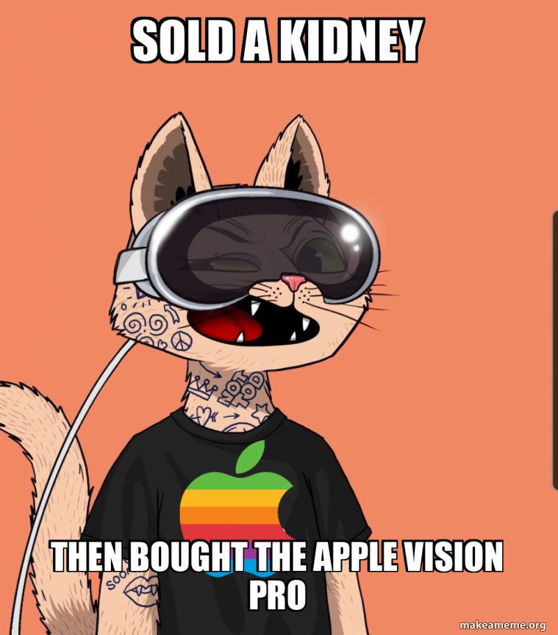 sold a kidney Then Bought the Apple vision pro Meme Generator