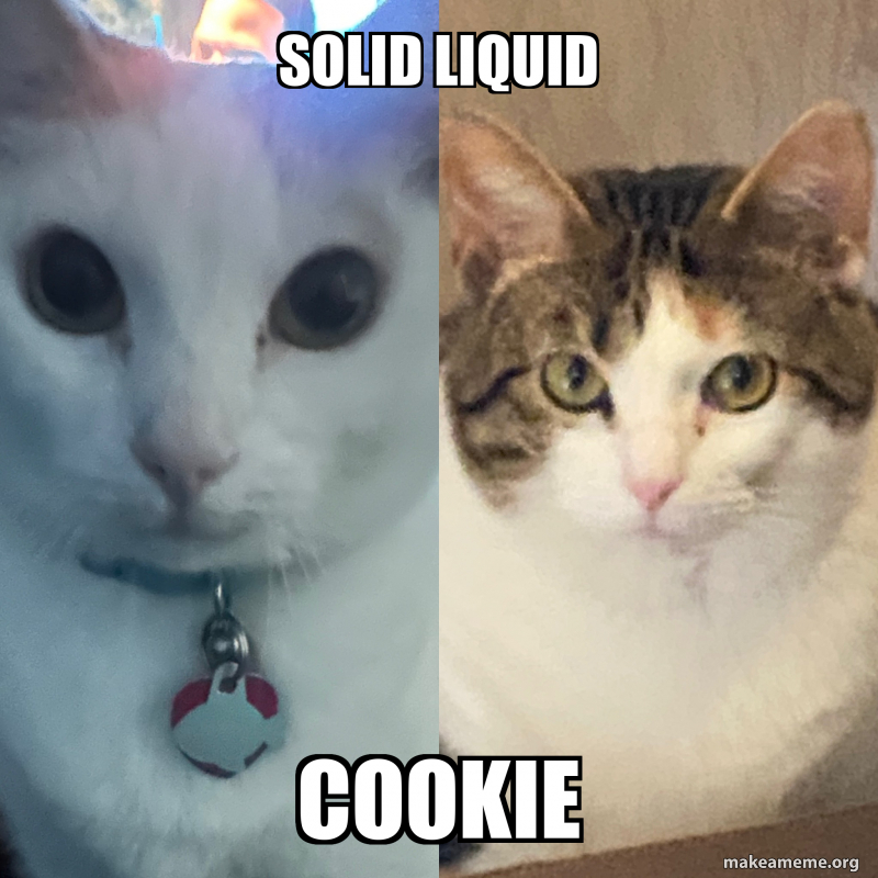 Solid Liquid Cookie Meme Generator