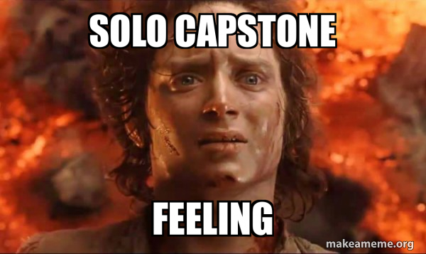 solo capstone feeling - Frodo it's over it's done Meme Generator