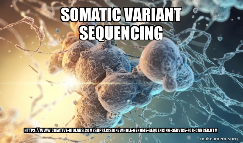 somatic variant sequencing https://www.creative-biolabs.com/suprecision ...