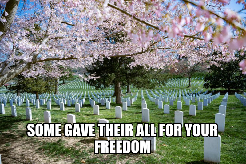 some gave their all for your freedom Meme Generator
