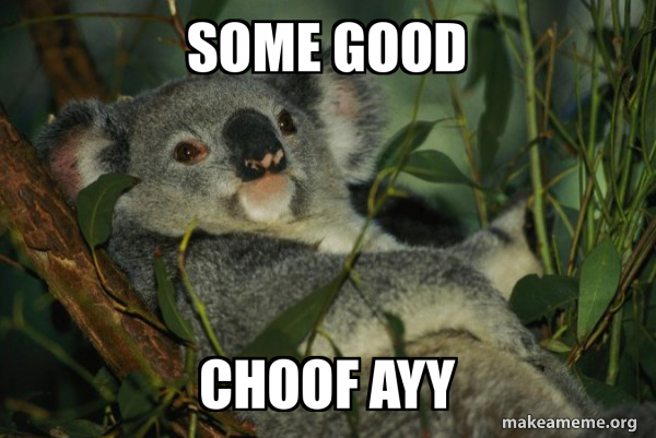 some good choof ayy - Laid Back Koala Meme Generator