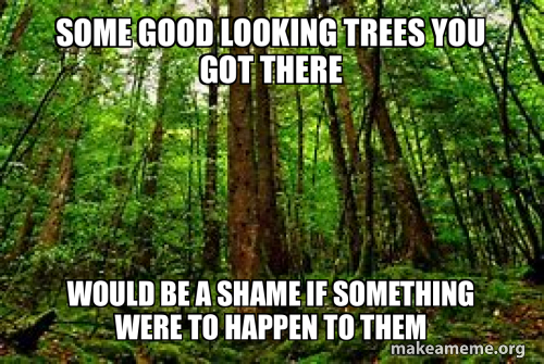 Some Good looking Trees you got there Would be a shame if something ...