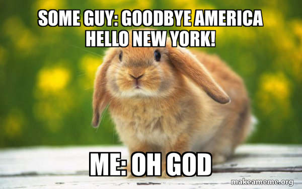 some guy: goodbye america HELLO NEW YORK! me: OH GOD - Regretful Rabbit ...