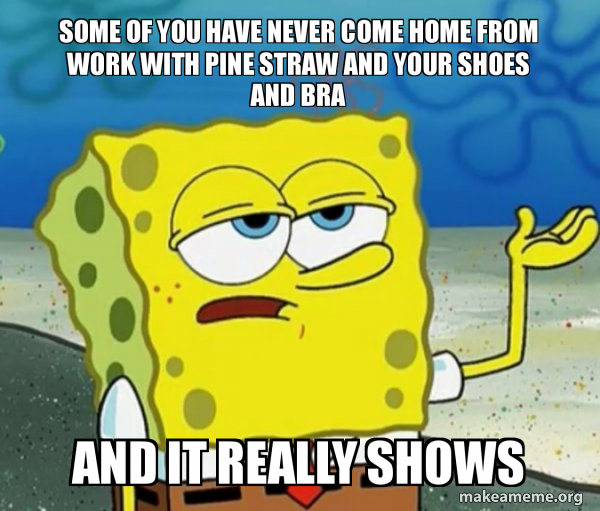 Pinestraw Memes Cincinnati Pine Mulch (@trypinestraw_com)