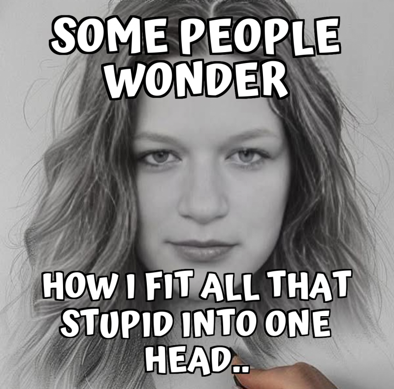 Some people wonder How I fit all that stupid into one head.. Meme Generator
