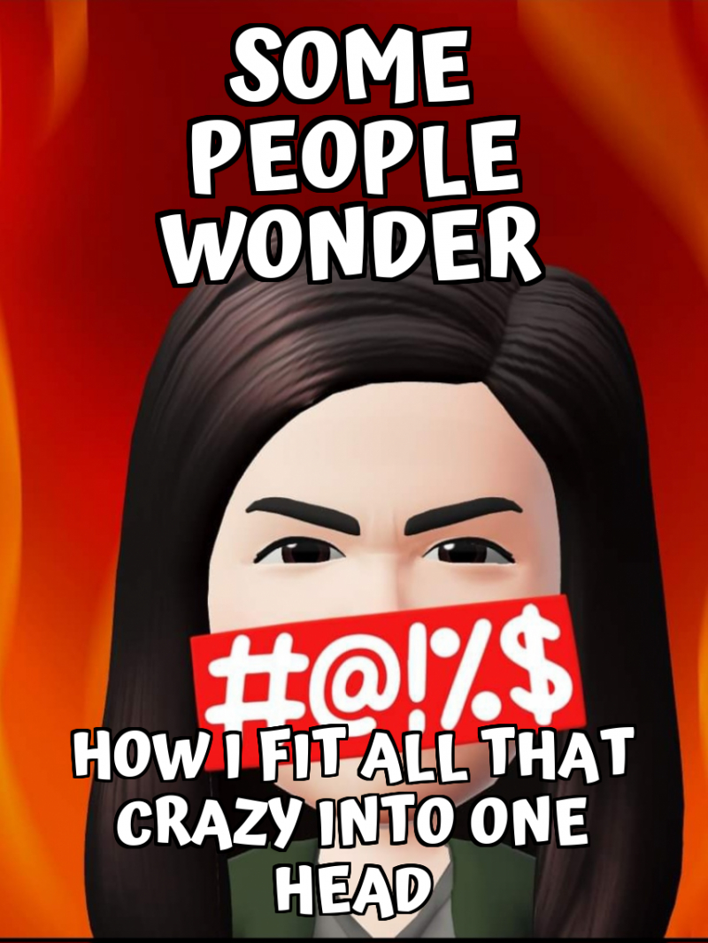 Some people wonder How I fit all that crazy into one head Meme Generator