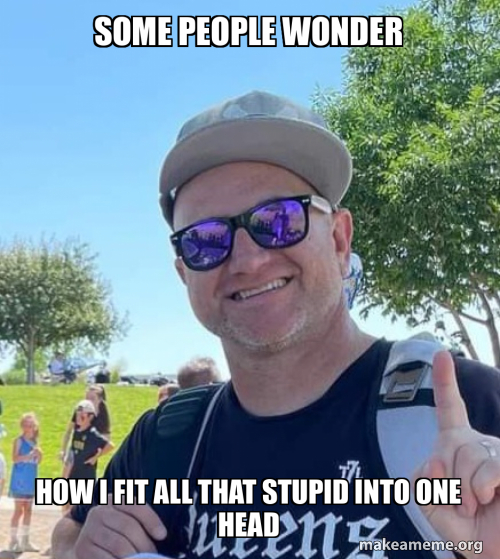 Some people wonder How I fit all that stupid into one head Meme Generator