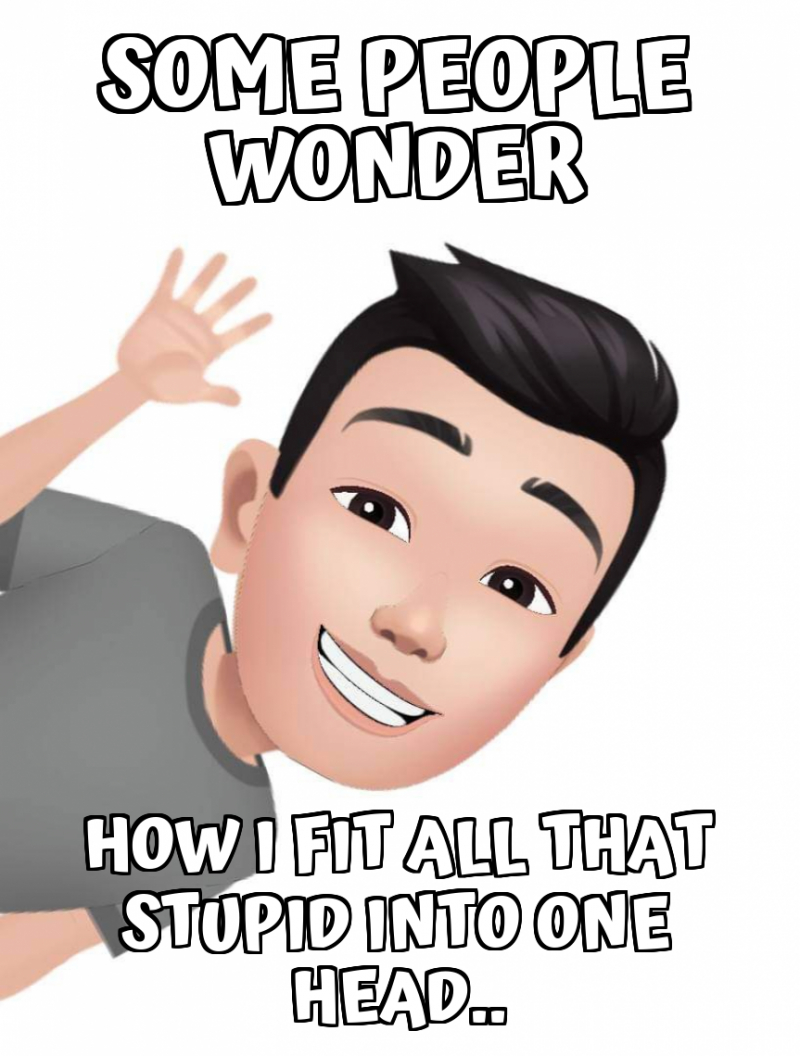 Some people wonder How I fit all that stupid into one head.. Meme Generator