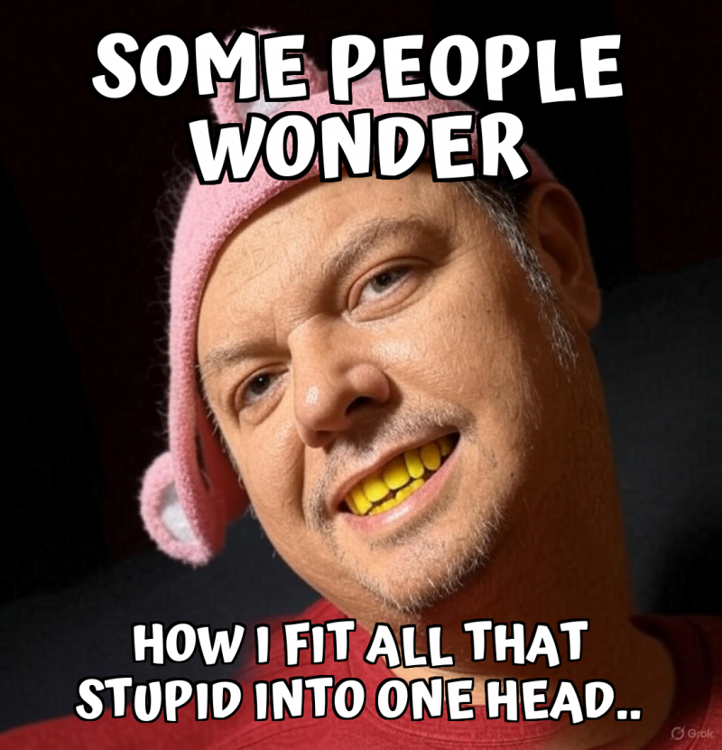 Some people wonder How I fit all that stupid into one head.. Meme Generator