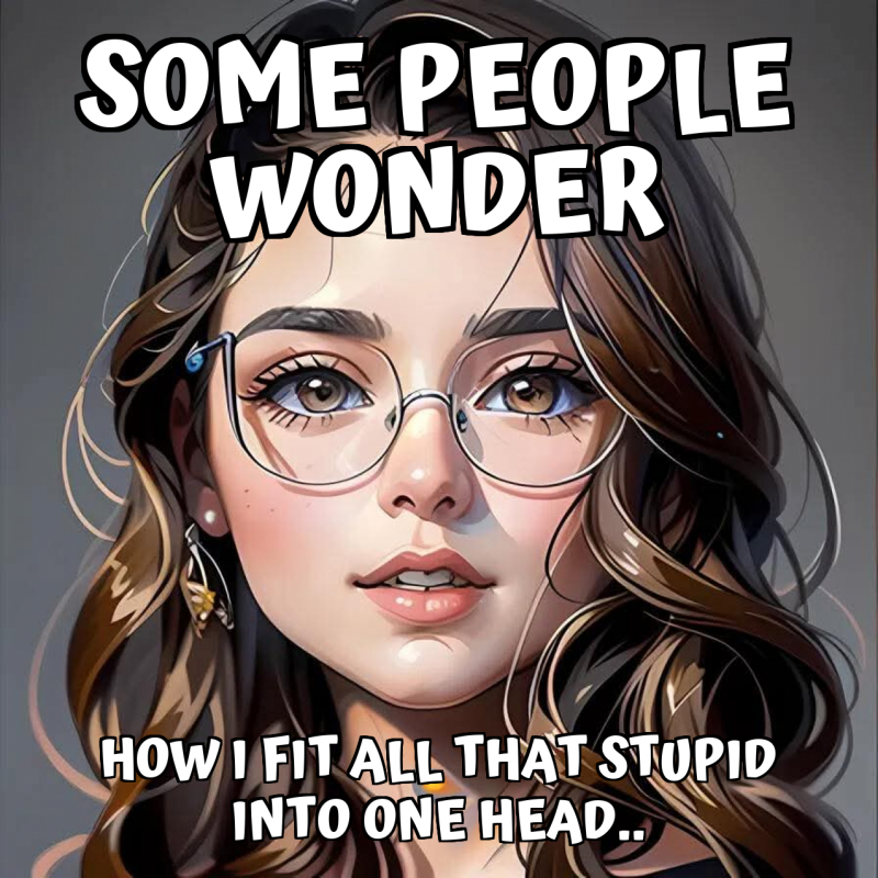 Some people wonder How I fit all that stupid into one head.. Meme Generator