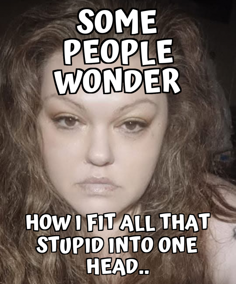 Some people wonder How I fit all that stupid Into one head.. Meme Generator