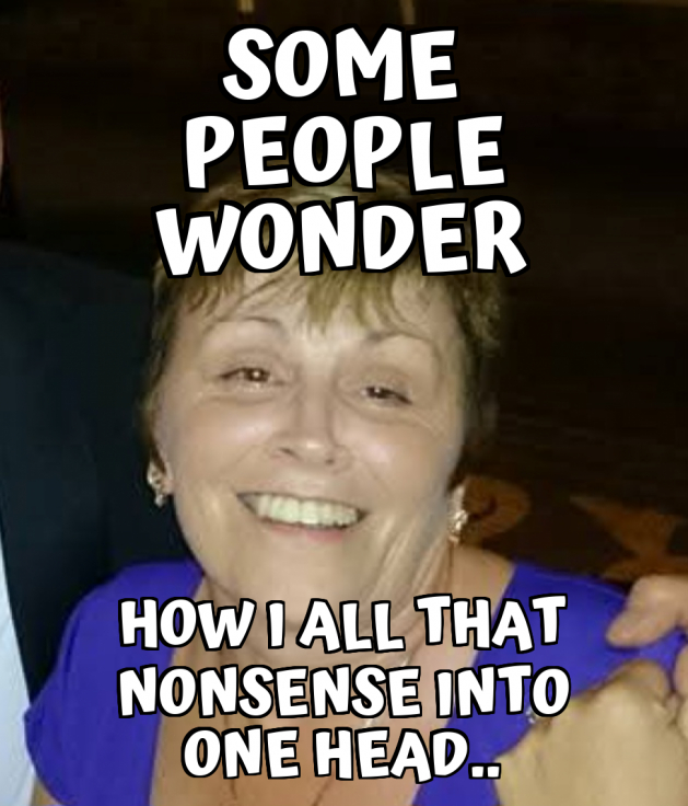 Some people wonder How I all that nonsense into one head.. Meme Generator