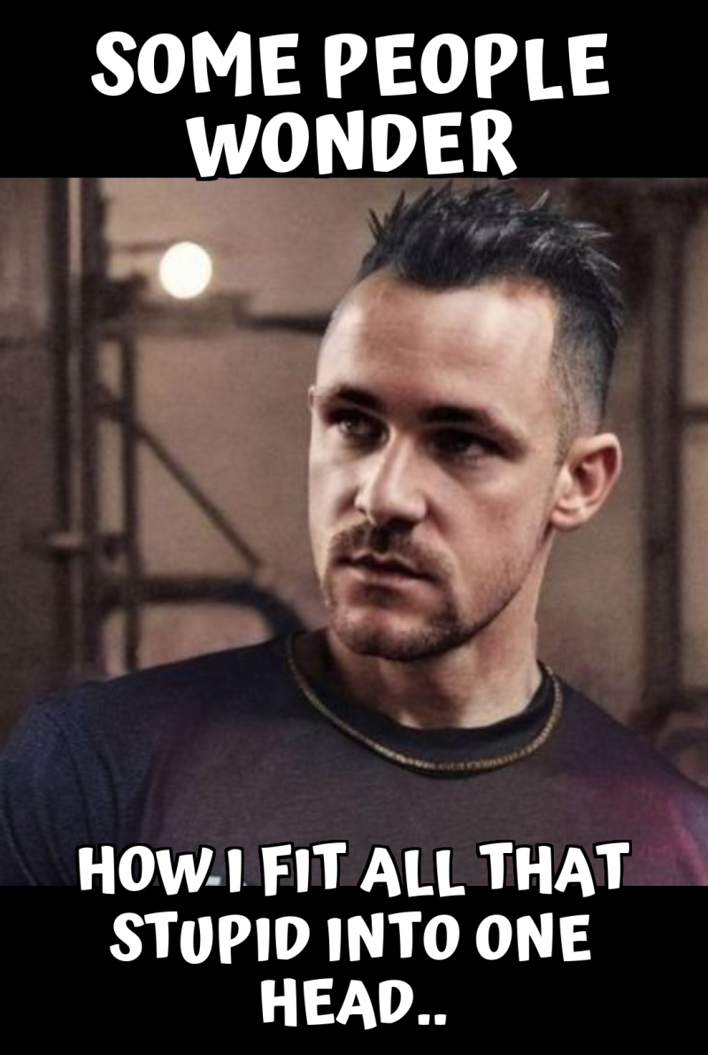 Some people wonder How I fit all that stupid into one head.. Meme Generator
