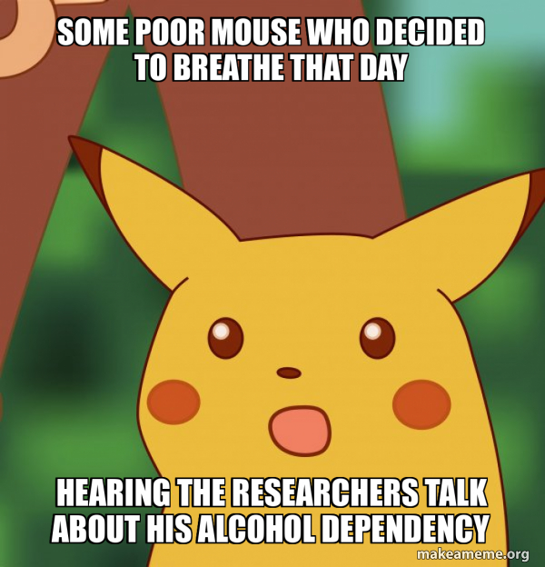 Some poor mouse who decided to breathe that day hearing the researchers ...