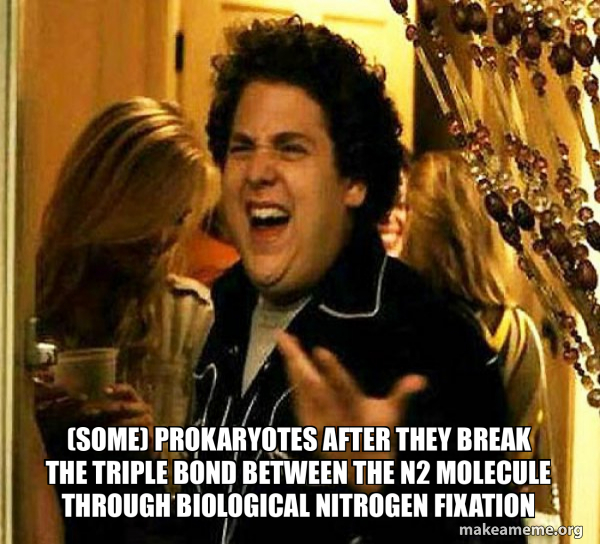 (Some) Prokaryotes after they break the triple bond between the N2 ...