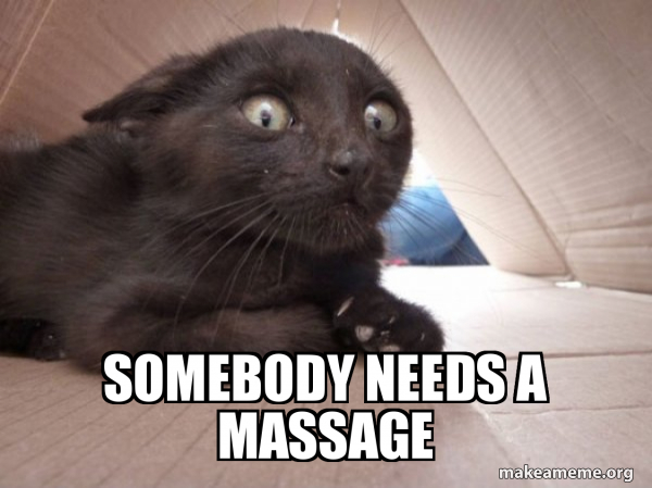 Somebody needs a massage - Schitzo Cat Meme Generator