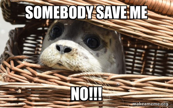 somebody save ME NO!!! - Impending Doom Seal Meme Generator