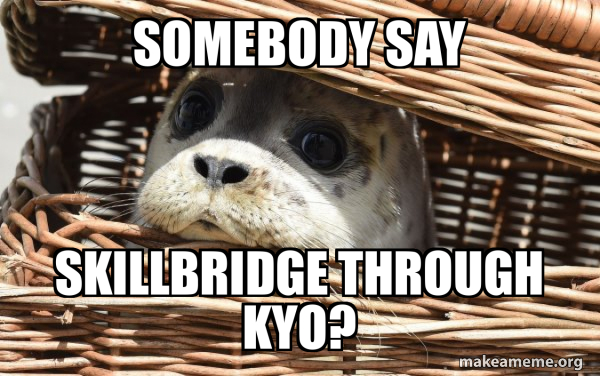 Somebody say SkillBridge through KYO? - Impending Doom Seal Meme Generator