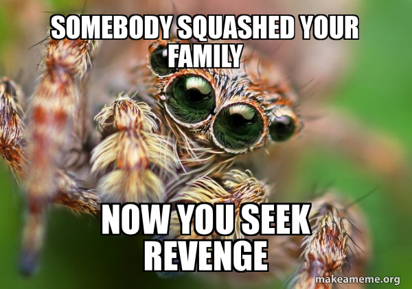 somebody squashed your family now you seek revenge - Hipster Spider ...