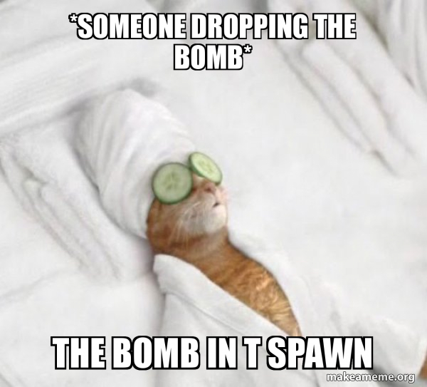 *someone dropping the bomb* The bomb in t spawn - Pampered Cat Meme ...