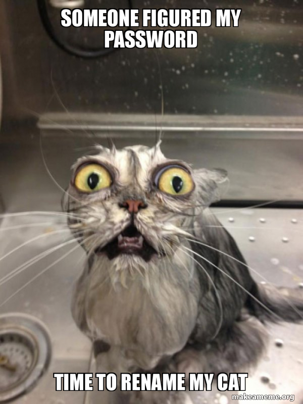 someone figured my password time to rename my cat - Cat bath Meme Generator